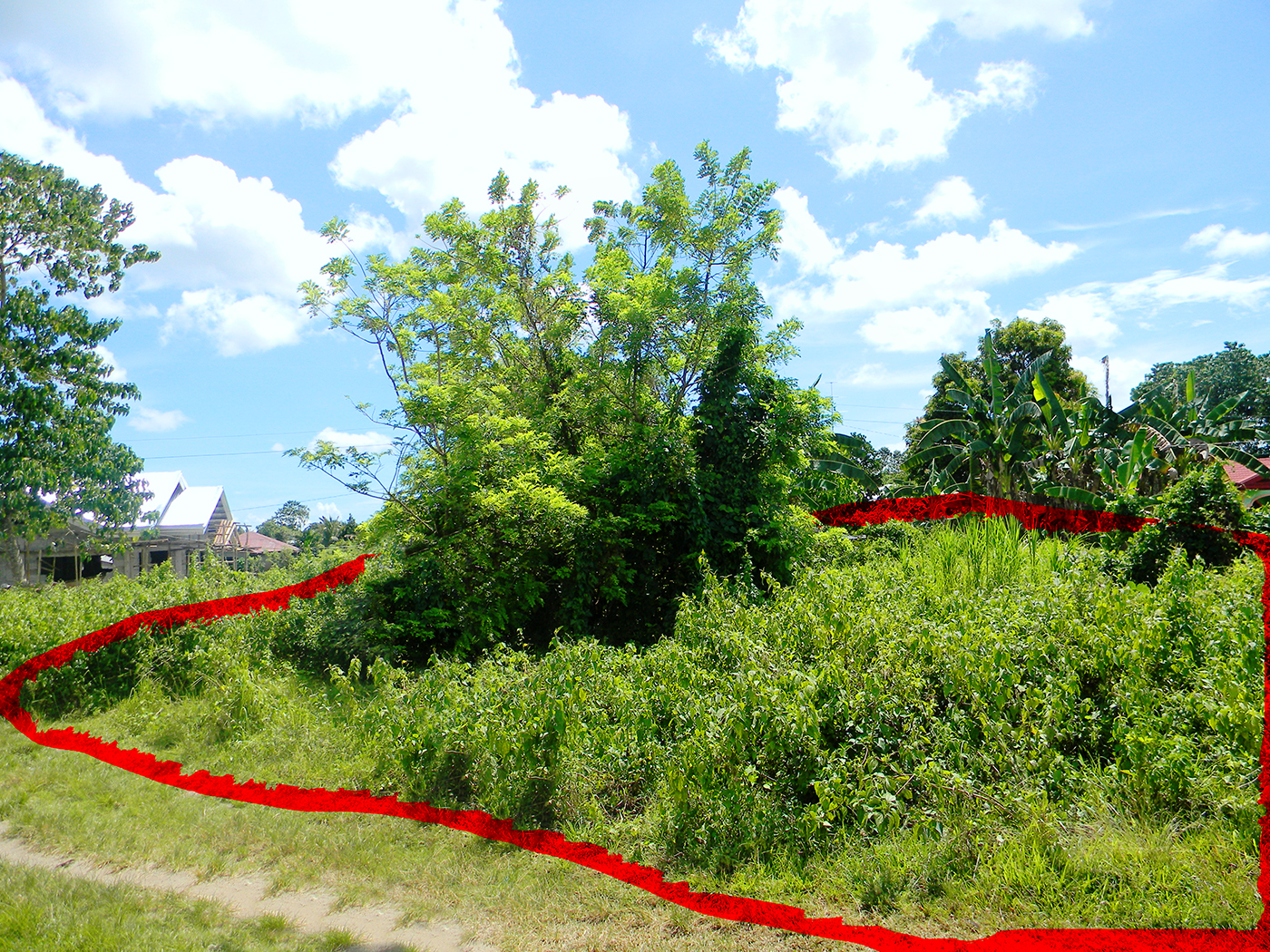 406 sqm in Sagay City